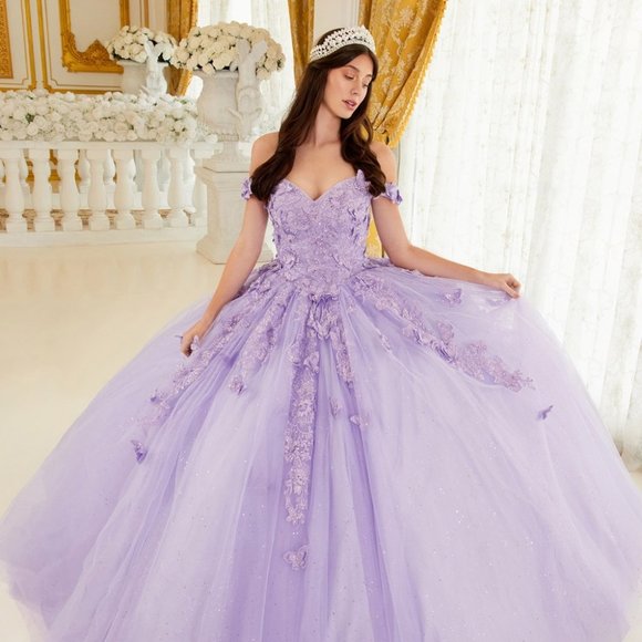 Cinderella | Dresses | New Logn Off The Shoulder Sleeveless Tulle Ball ...